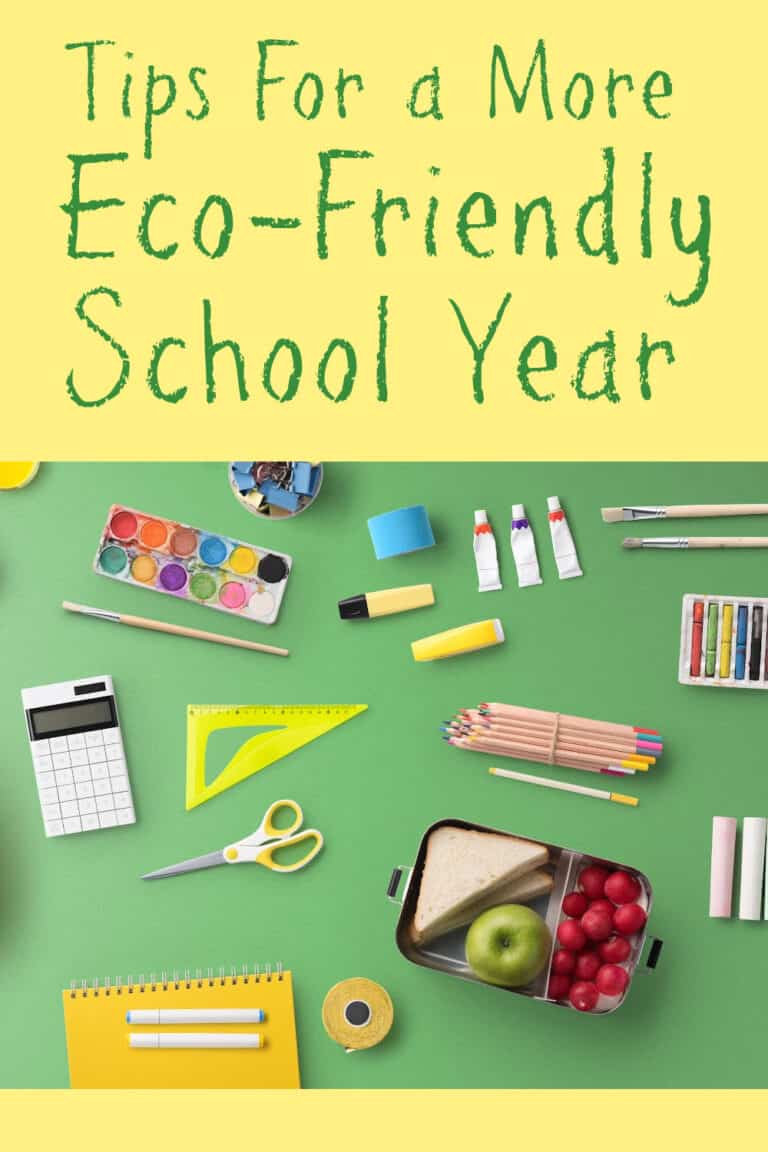 Tips For a More Eco-Friendly School Year