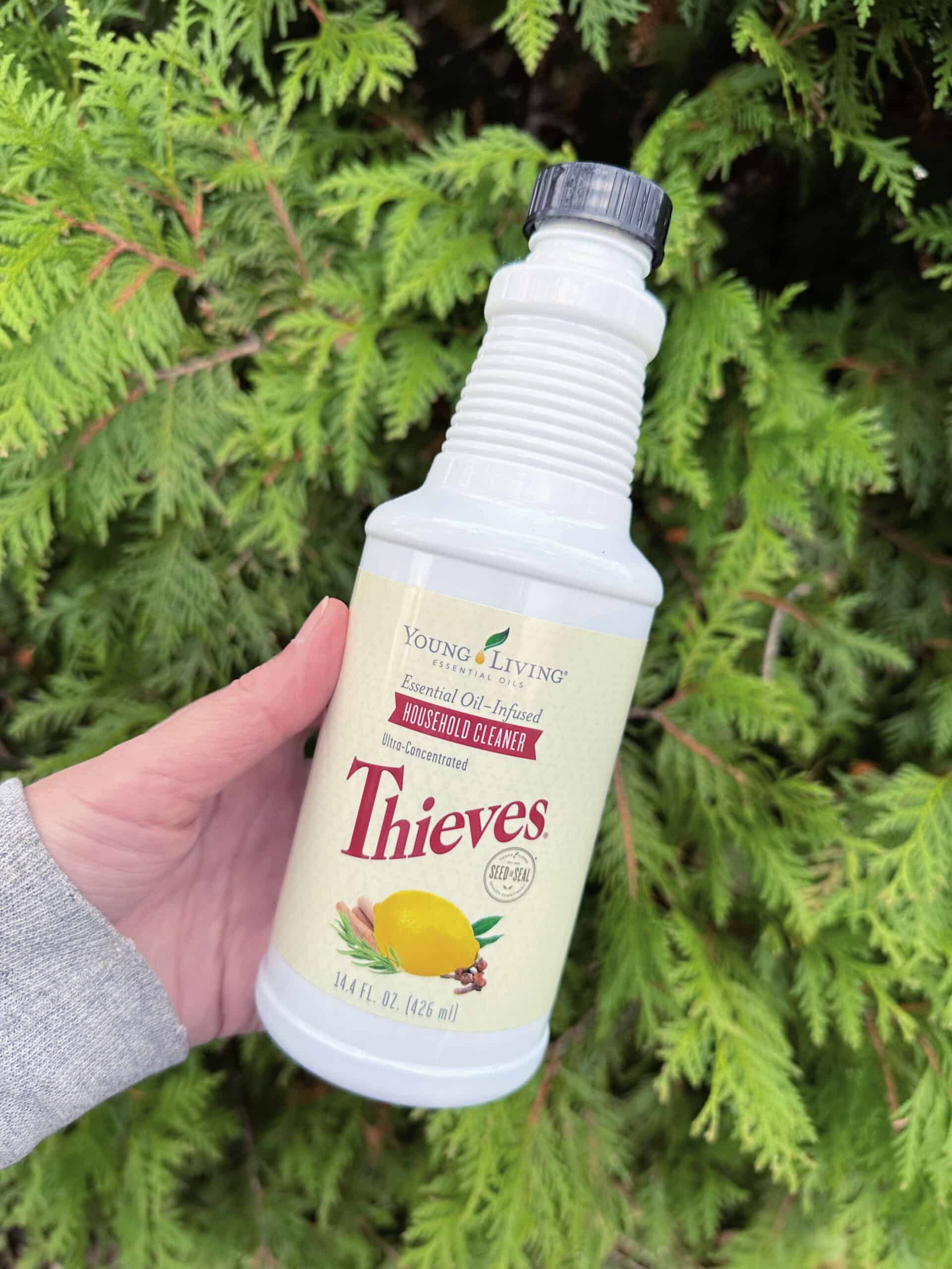 DIY Thieves Household Cleaner