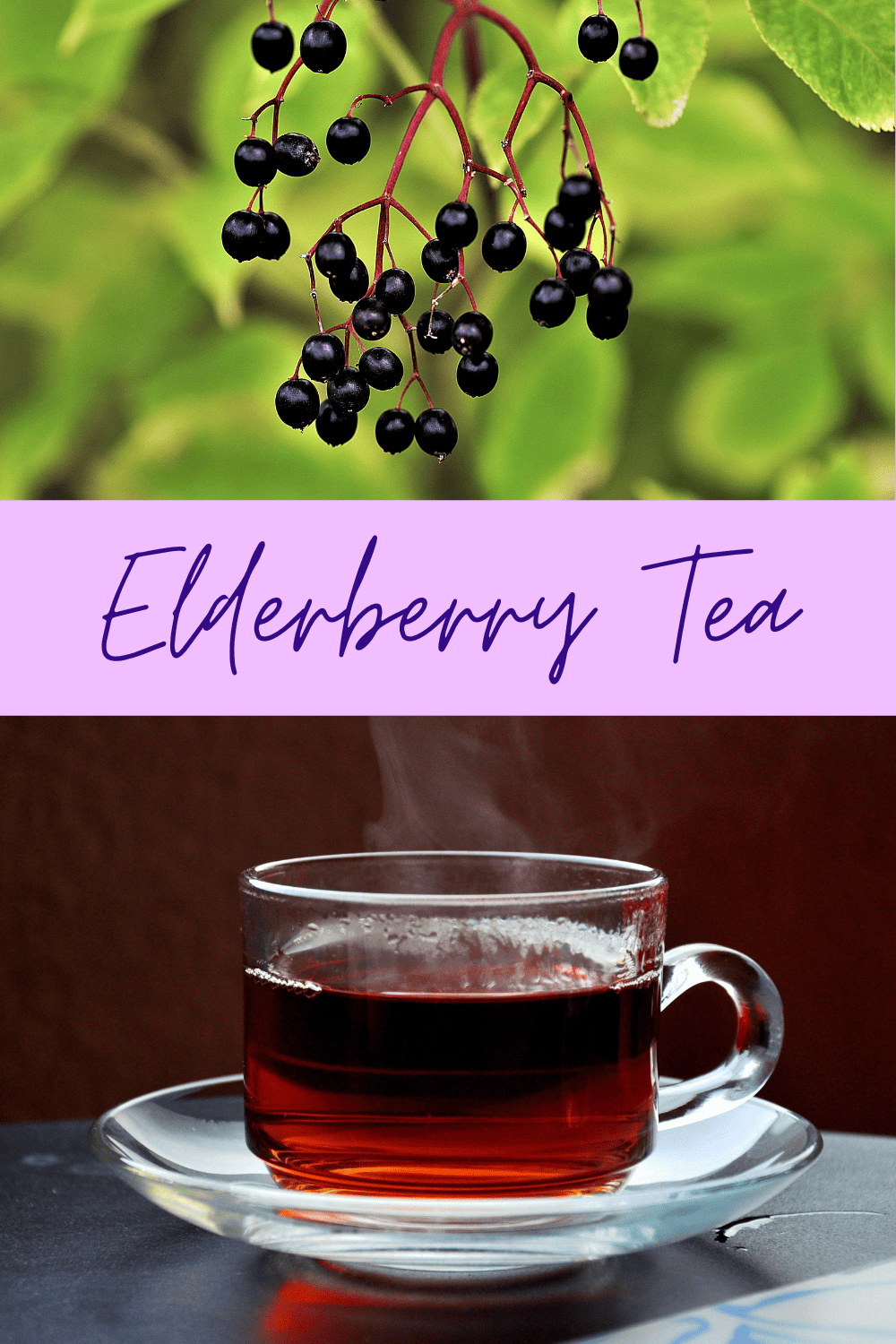 Home [puddlesandpine.com]