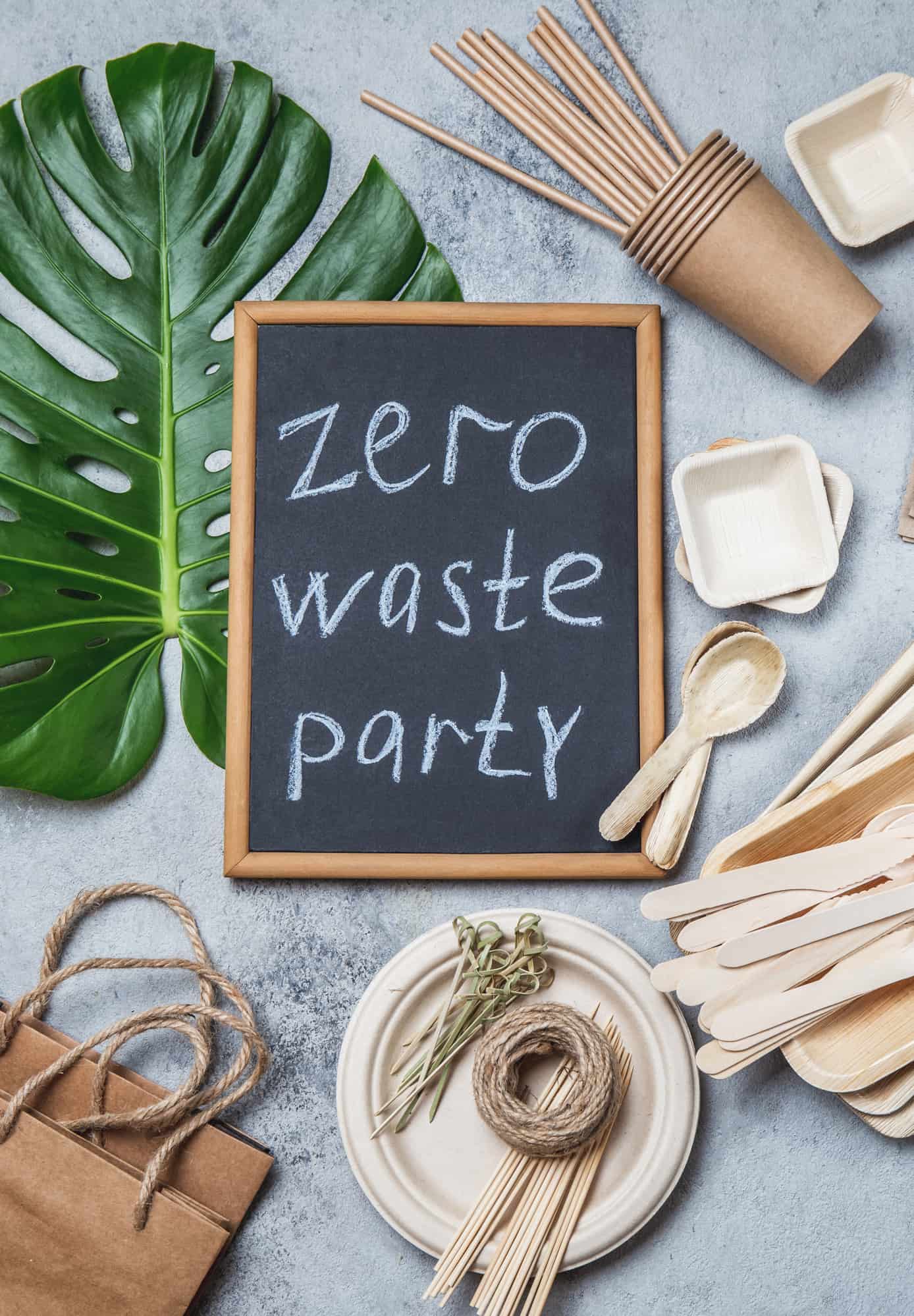 Eco-Friendly Entertaining: A Guide to Sustainable Disposable Dinnerware ...