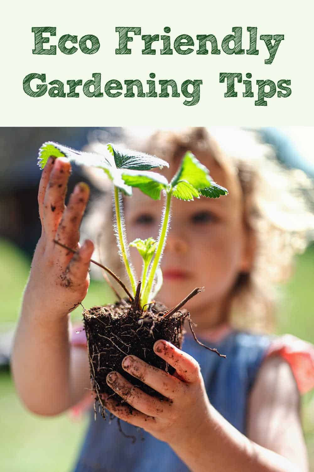 Eco-Friendly Gardening Tips
