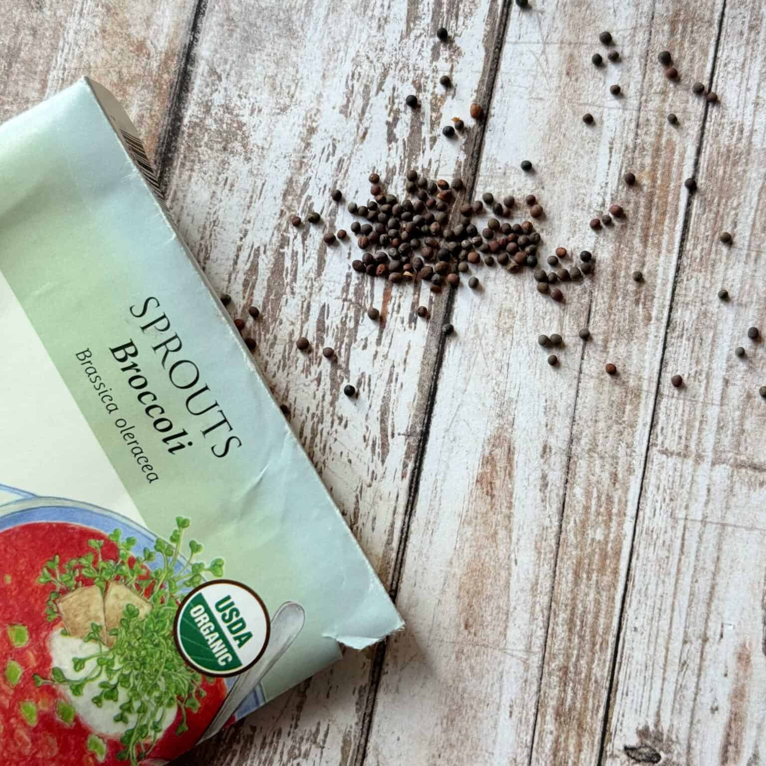 How to Grow Your Own Fresh Sprouts