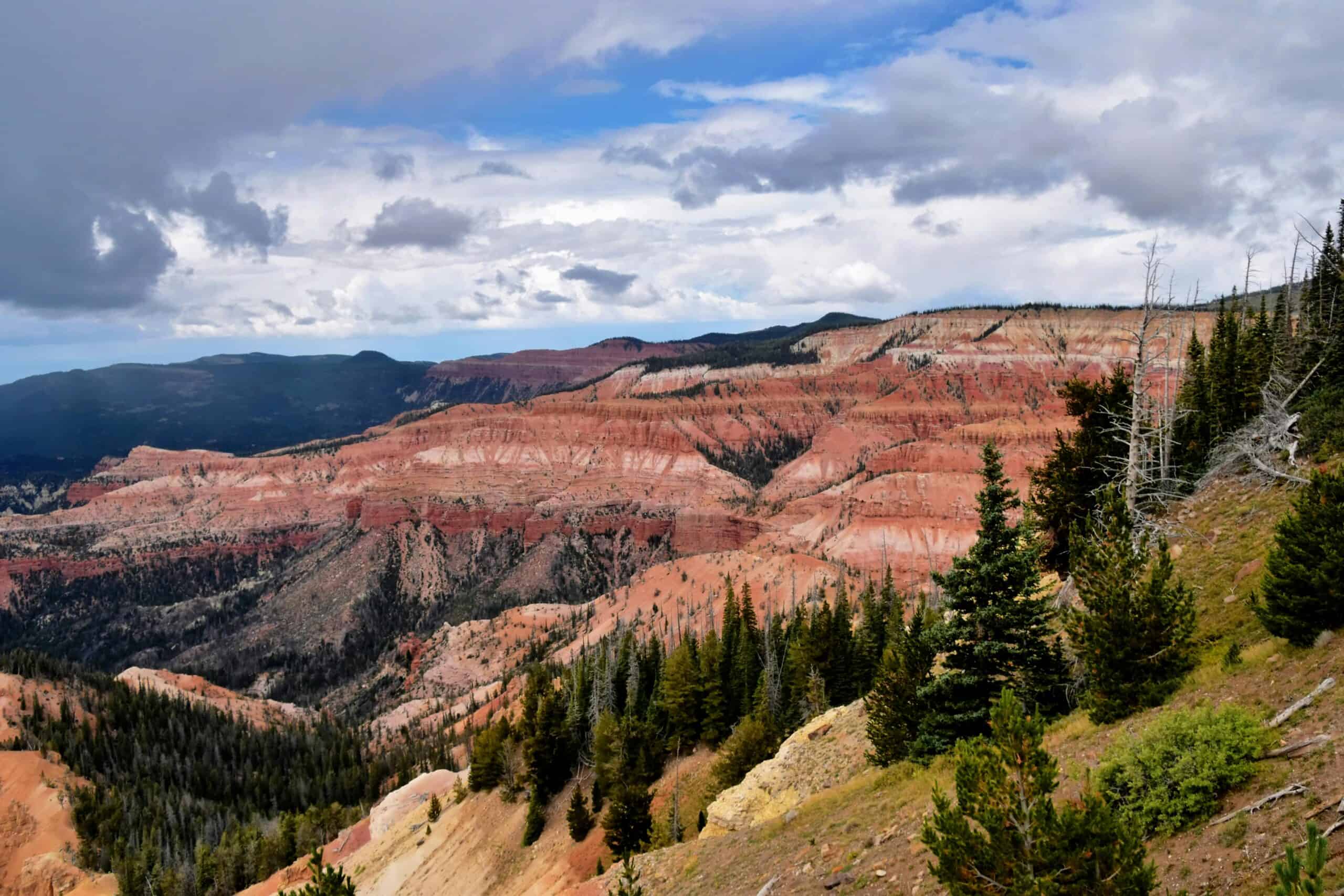 Savoring Local Flavors: A Foodie's Guide to Park City in the Current Year